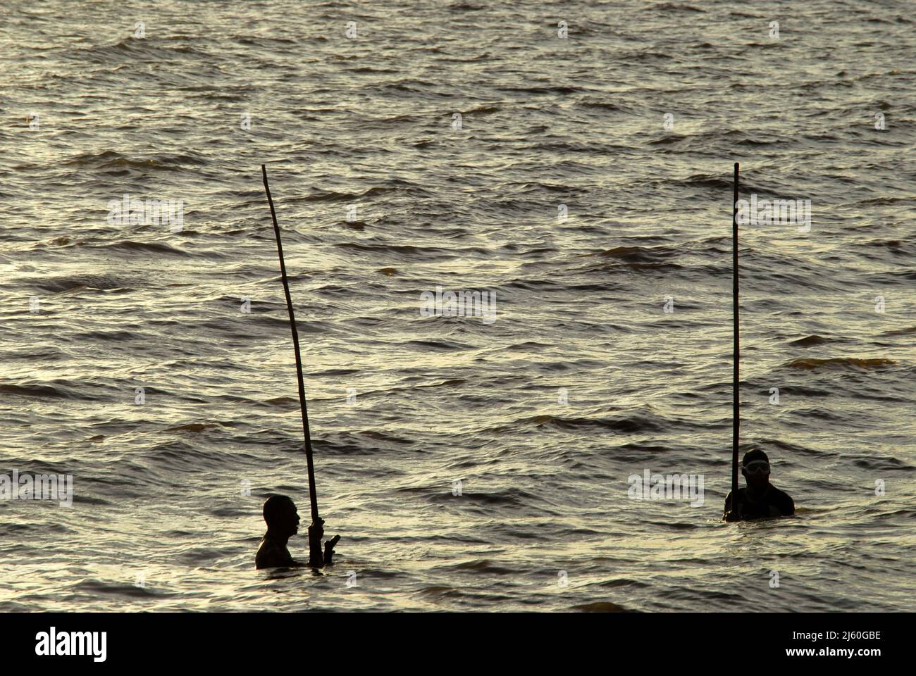 Men with spears fishing shells and scallops on the sea, Valladolid ...