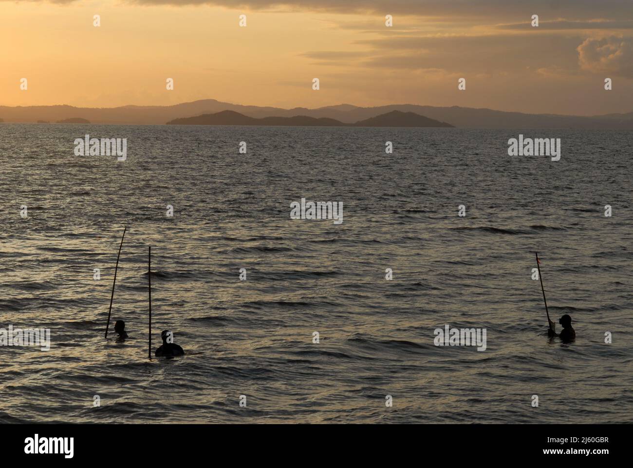 Men with spears fishing shells and scallops on the sea, Valladolid ...