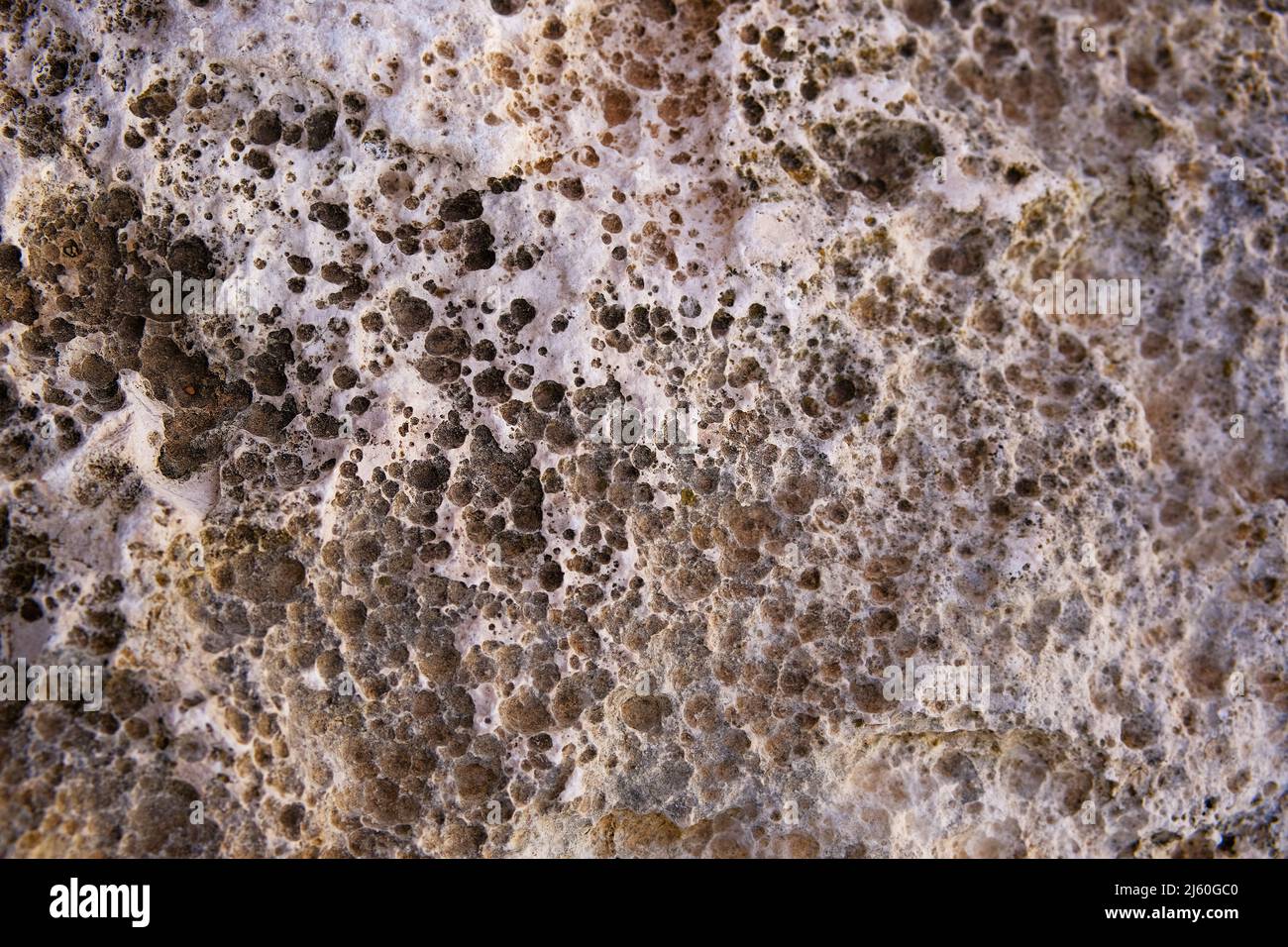 Natural rock stone texture with yellow lichen Stock Photo - Alamy
