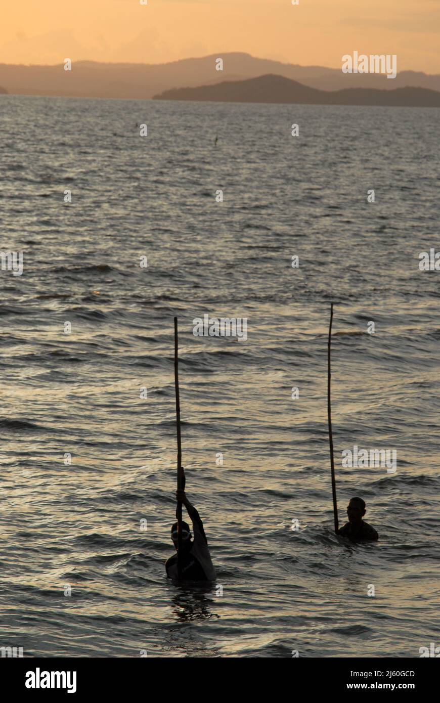 Men with spears fishing shells and scallops on the sea, Valladolid ...