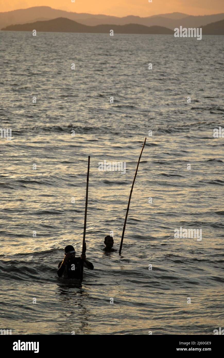 Men with spears fishing shells and scallops on the sea, Valladolid ...