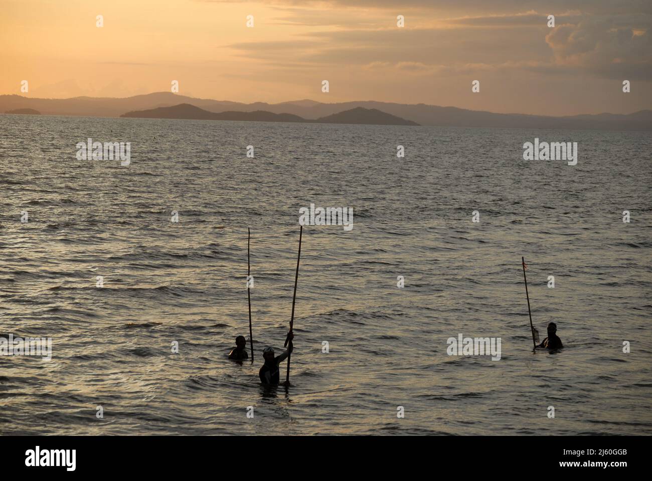 Men with spears fishing shells and scallops on the sea, Valladolid ...