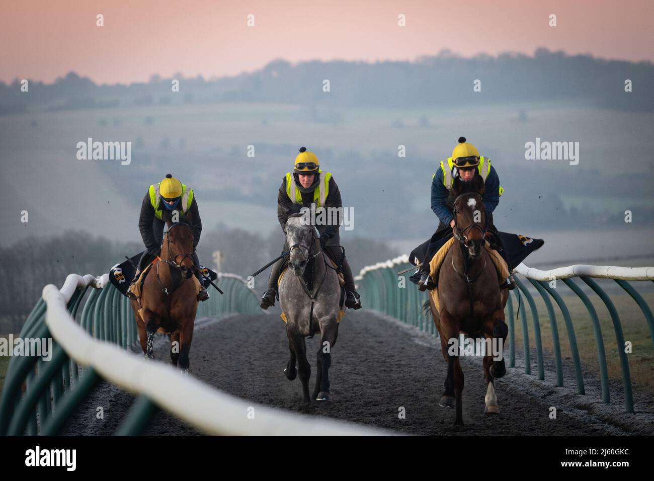 Racehorses training at dawn at the gallops above Upper Lambourn in the Berkshire Downs. April ...