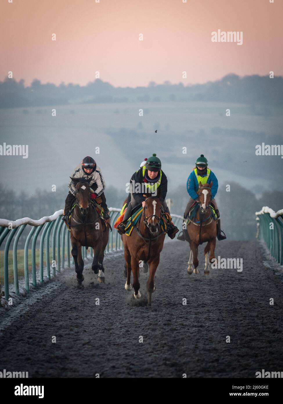 Racehorses training at dawn at the gallops above Upper Lambourn in the ...