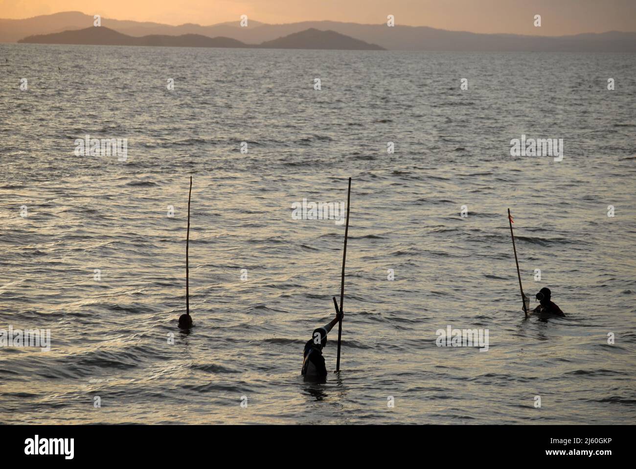 Men with spears fishing shells and scallops on the sea, Valladolid ...