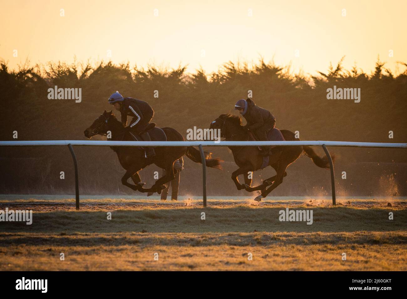 Racehorses training at dawn at the gallops above Upper Lambourn in the ...