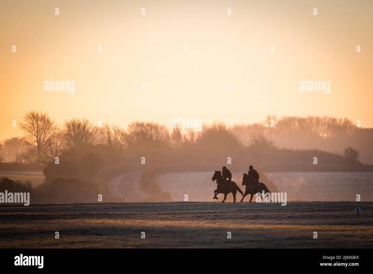 Racehorses training at dawn at the gallops above Upper Lambourn in the ...