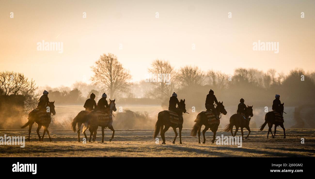 Racehorses training at dawn at the gallops above Upper Lambourn in the ...