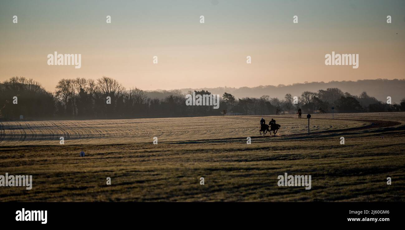 Racehorses training at dawn at the gallops above Upper Lambourn in the Berkshire Downs. April ...