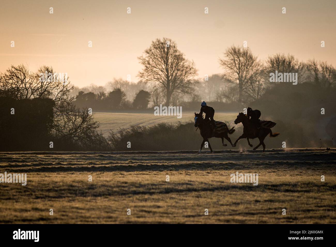 Racehorses training at dawn at the gallops above Upper Lambourn in the ...