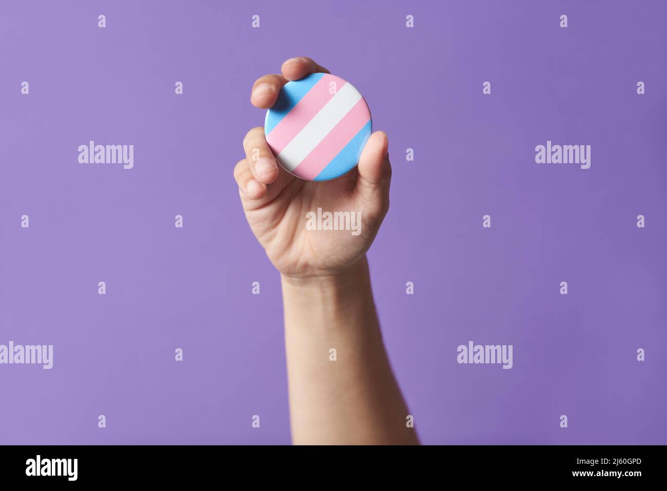 Hand raising a trans flag badge or pin on a purple background. Concepts ...