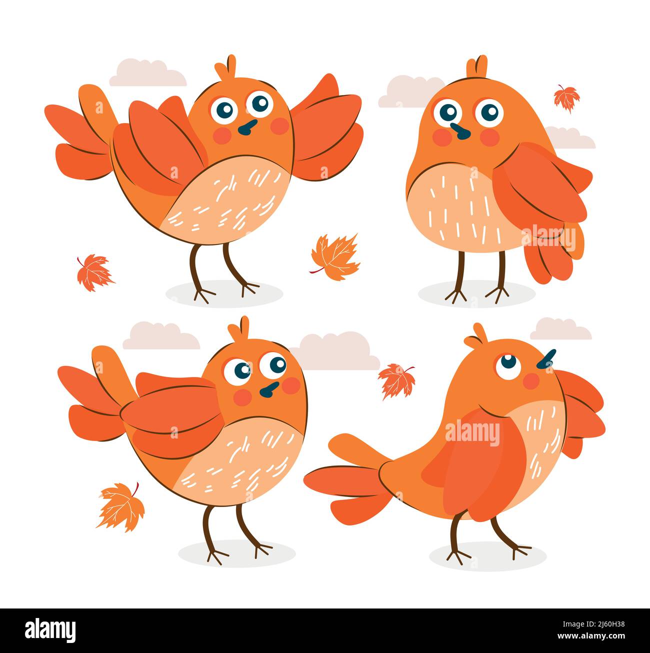 Set of orange birds Stock Vector Image & Art - Alamy