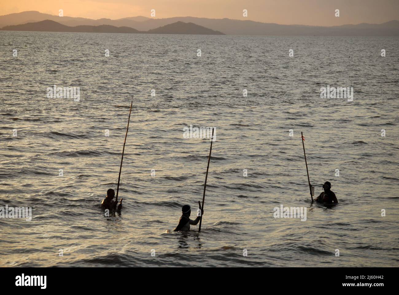 Men with spears fishing shells and scallops on the sea, Valladolid ...