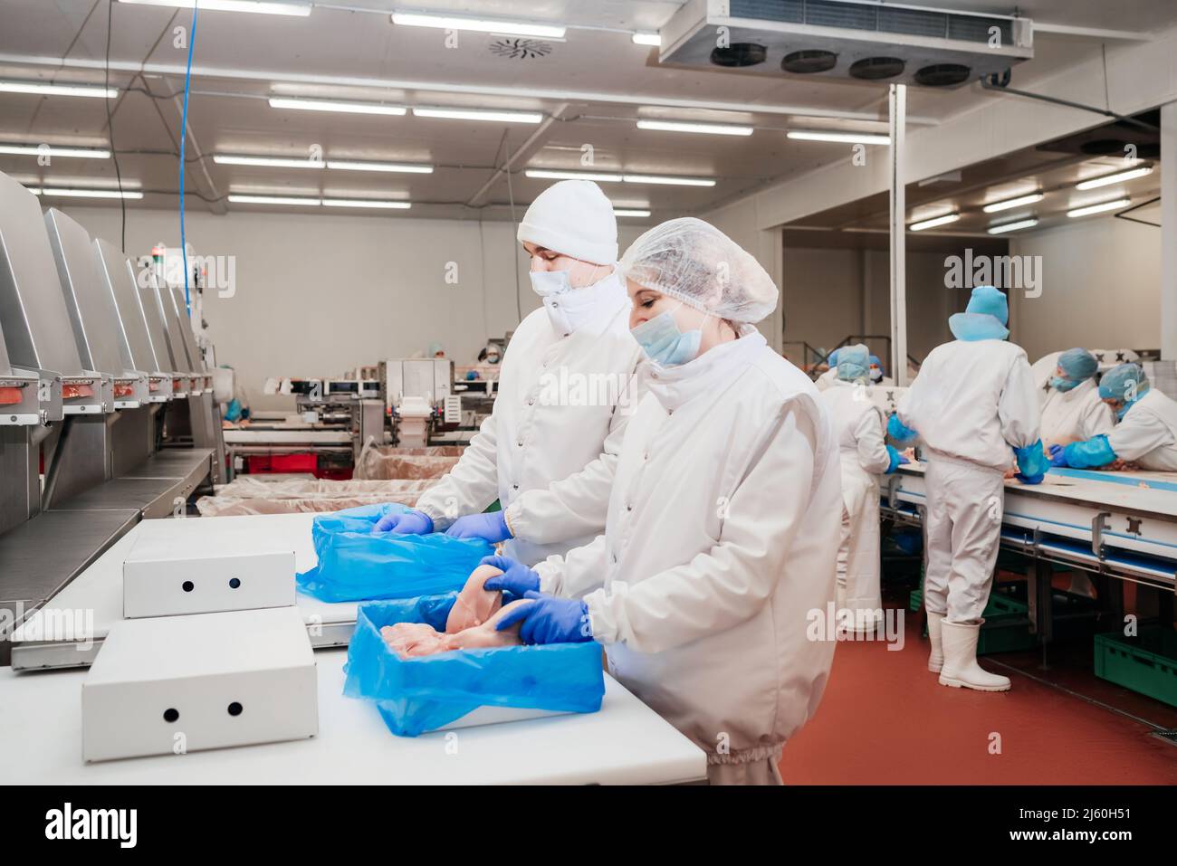 Automated production line with packaging and cutting of meat in modern ...