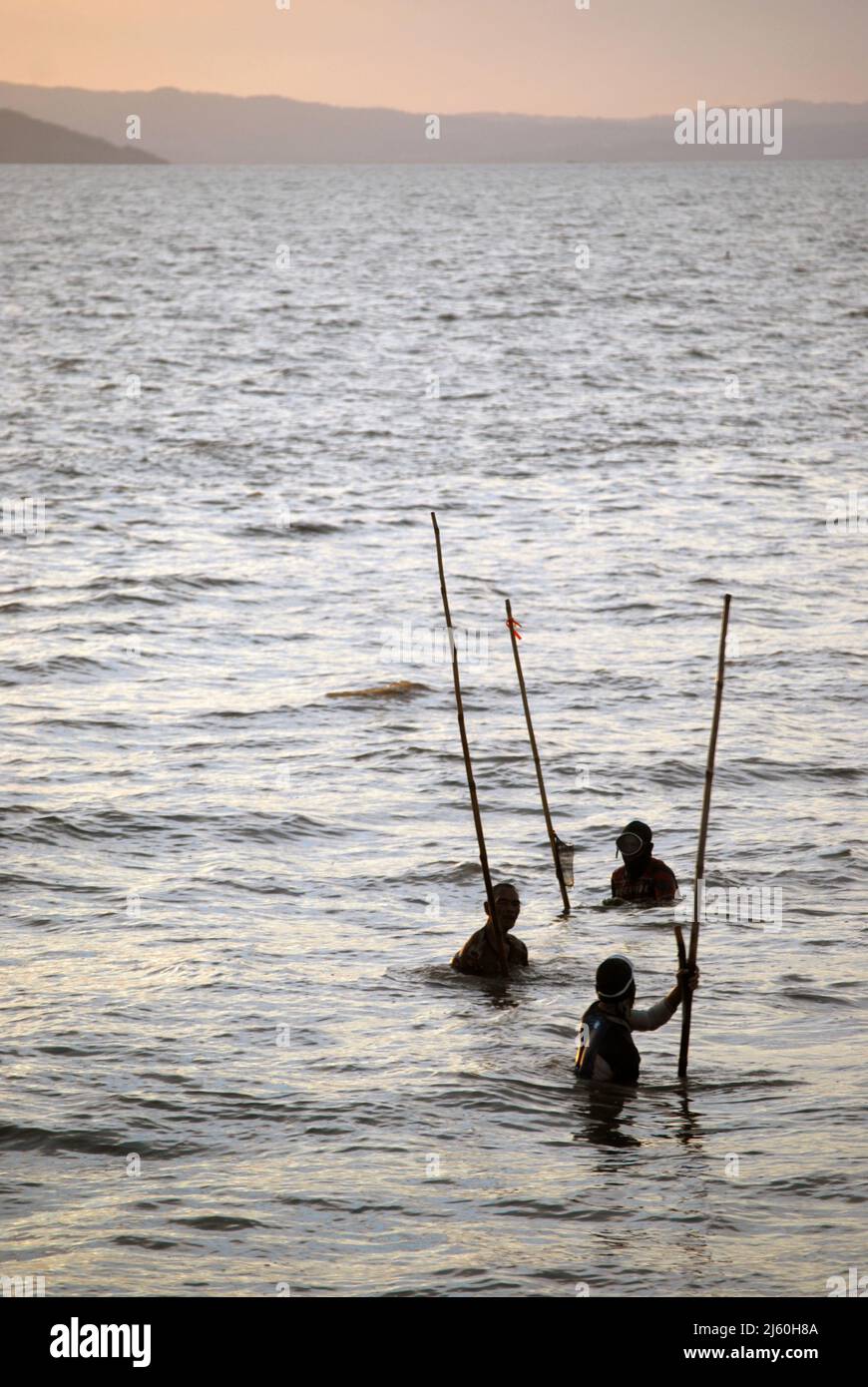 Men with spears fishing shells and scallops on the sea, Valladolid ...
