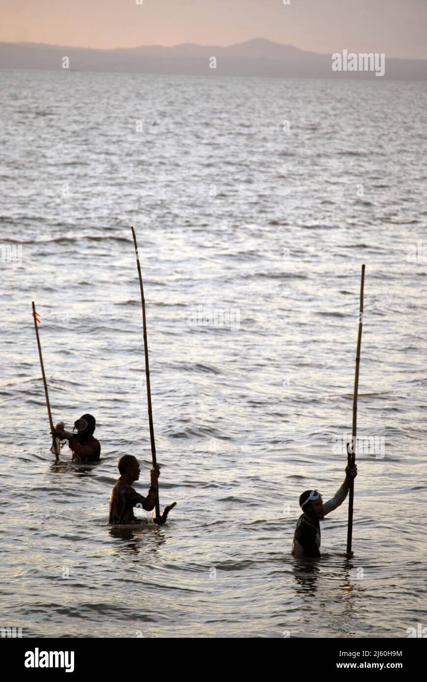 Men with spears fishing shells and scallops on the sea, Valladolid ...