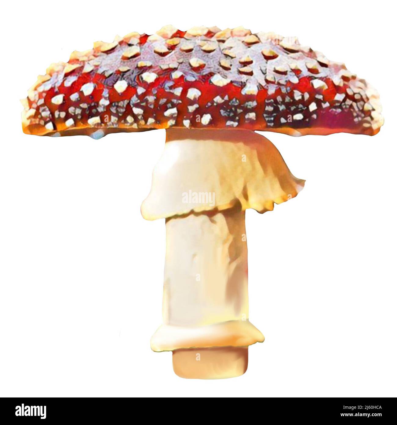 Red mushroom fly agaric Cut Out Stock Images & Pictures - Alamy