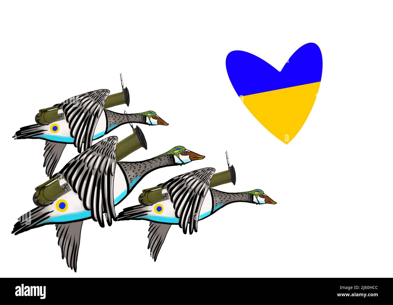 Military geese hi-res stock photography and images - Alamy