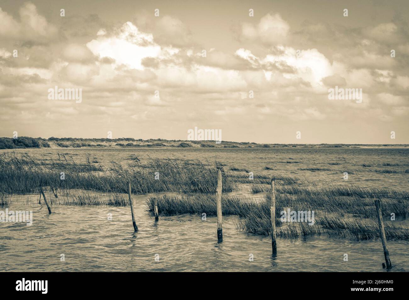 Old black and white picture of the natural panorama view to the Muyil ...