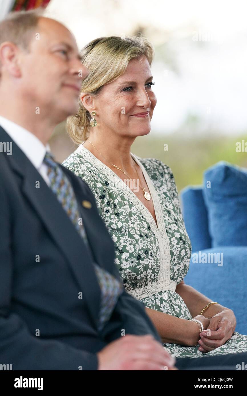 The Earl and the Countess of Wessex during a reception with His ...