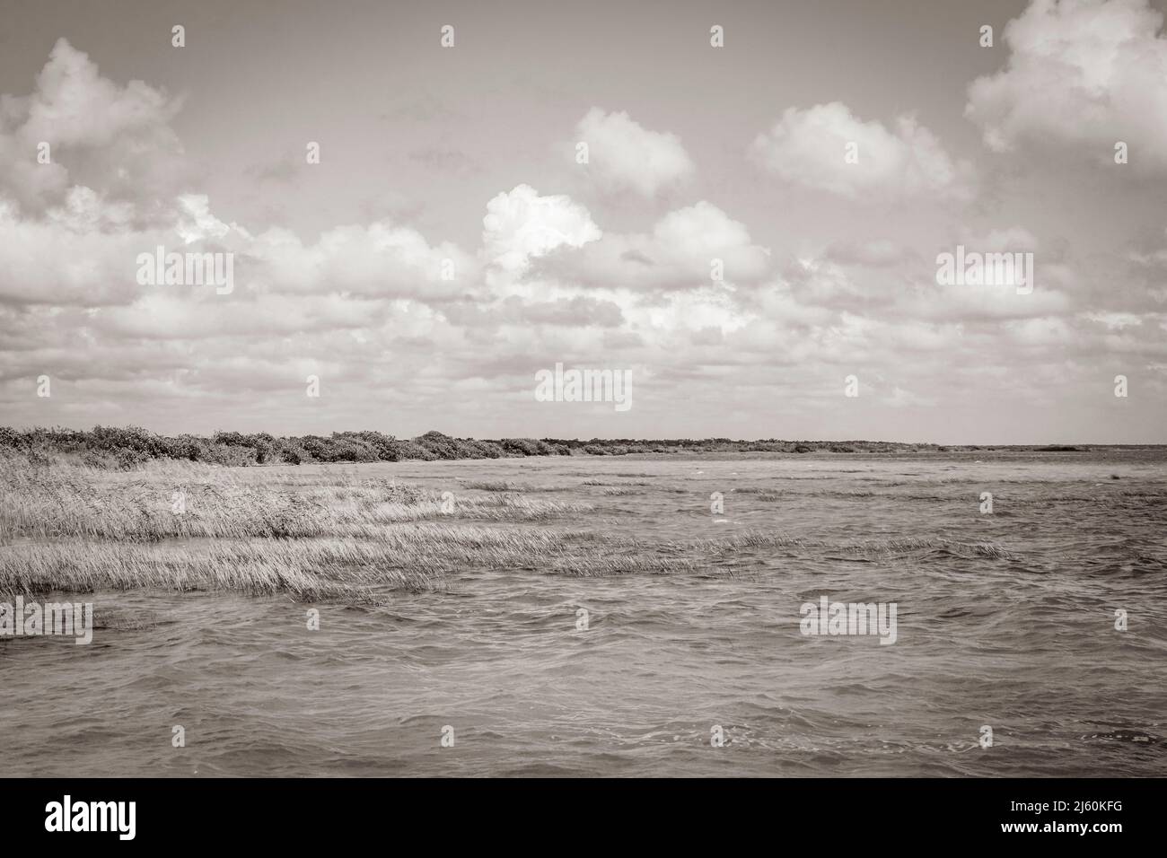 Old black and white picture of the natural panorama view to the Muyil ...