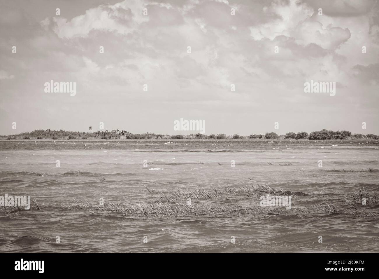 Old black and white picture of the natural panorama view to the Muyil ...