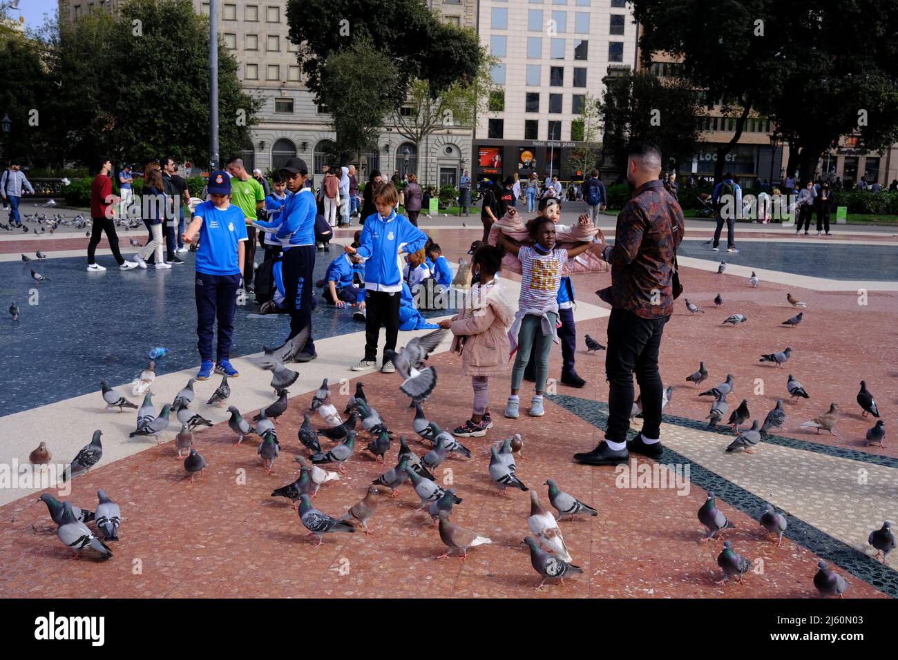 Pigeon park hi-res stock photography and images - Alamy