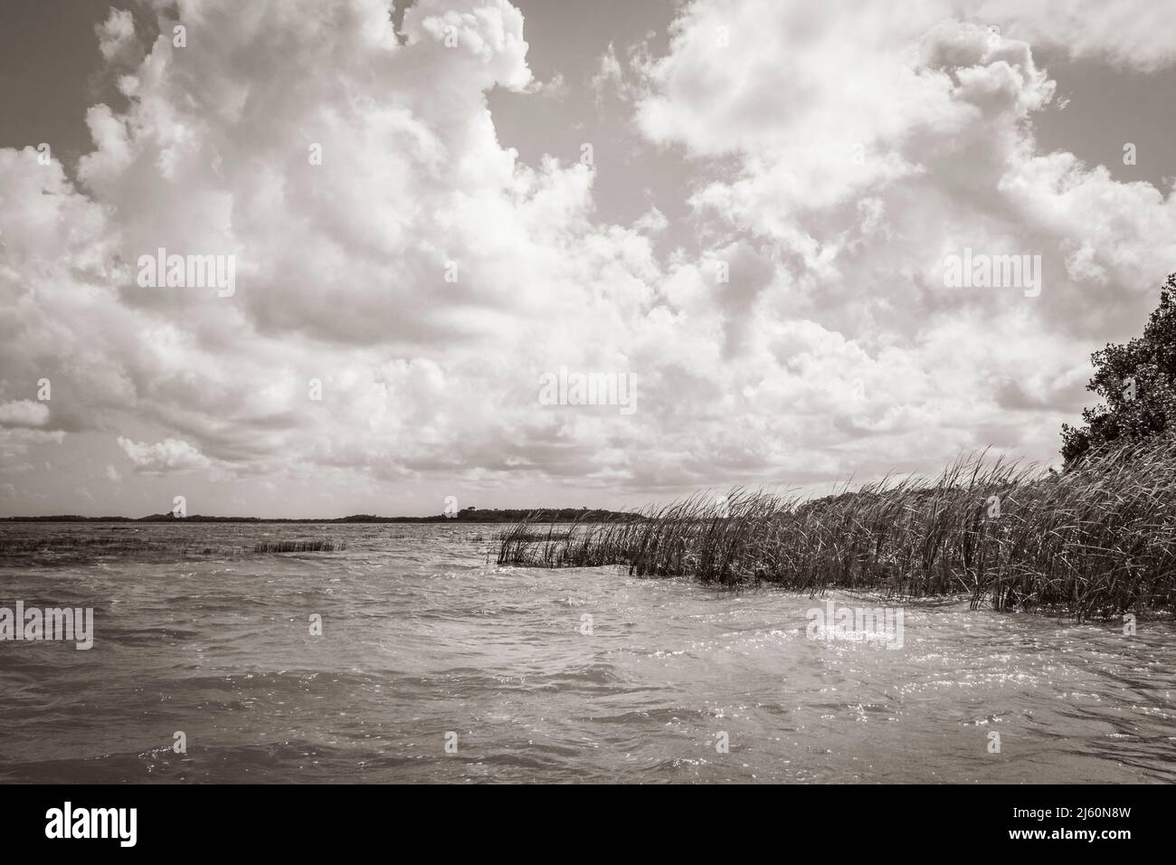 Old black and white picture of the natural panorama view to the Muyil ...