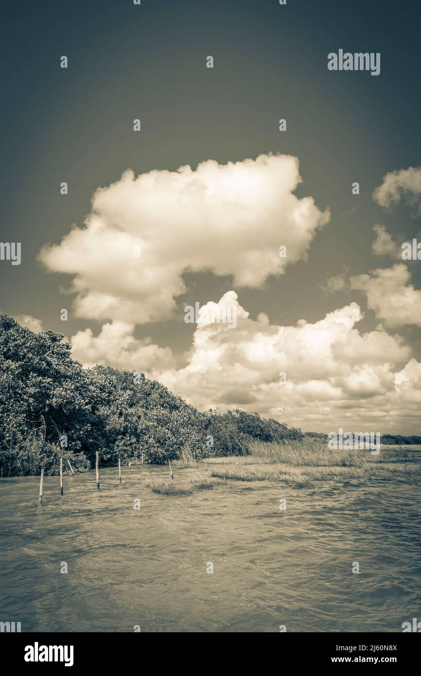 Old black and white picture of the natural panorama view to the Muyil ...