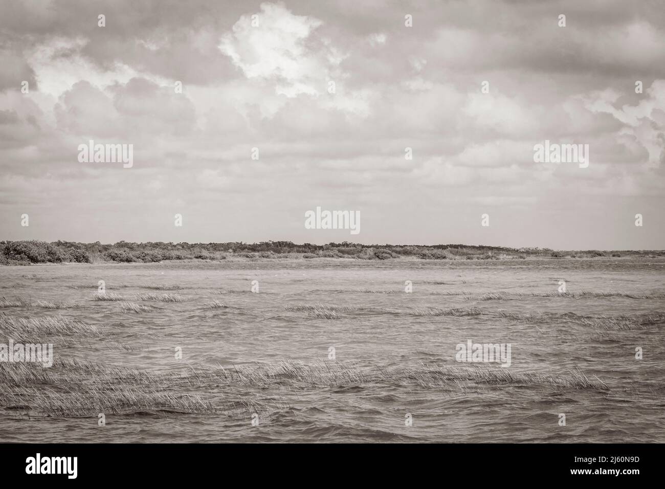Old black and white picture of the natural panorama view to the Muyil ...