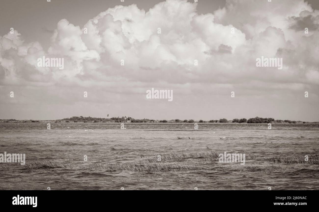 Old black and white picture of the natural panorama view to the Muyil ...