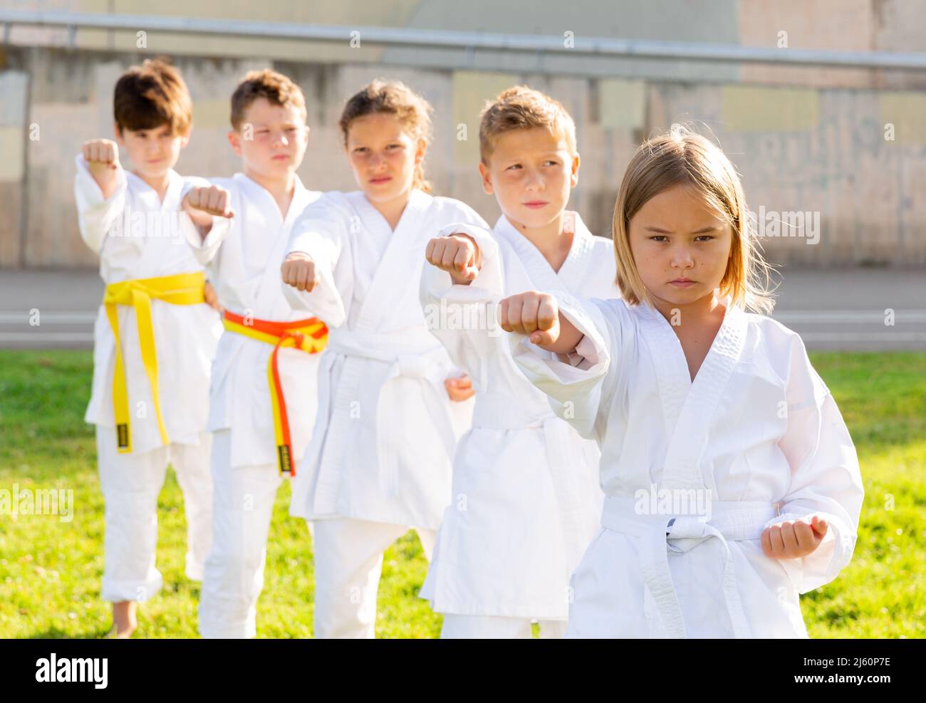 Tween girls and boys exercising taekwondo techniques on green lawn ...