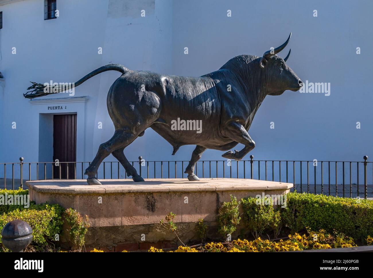 A bull statue outside of Bulling in Malaga Spain Stock Photo - Alamy