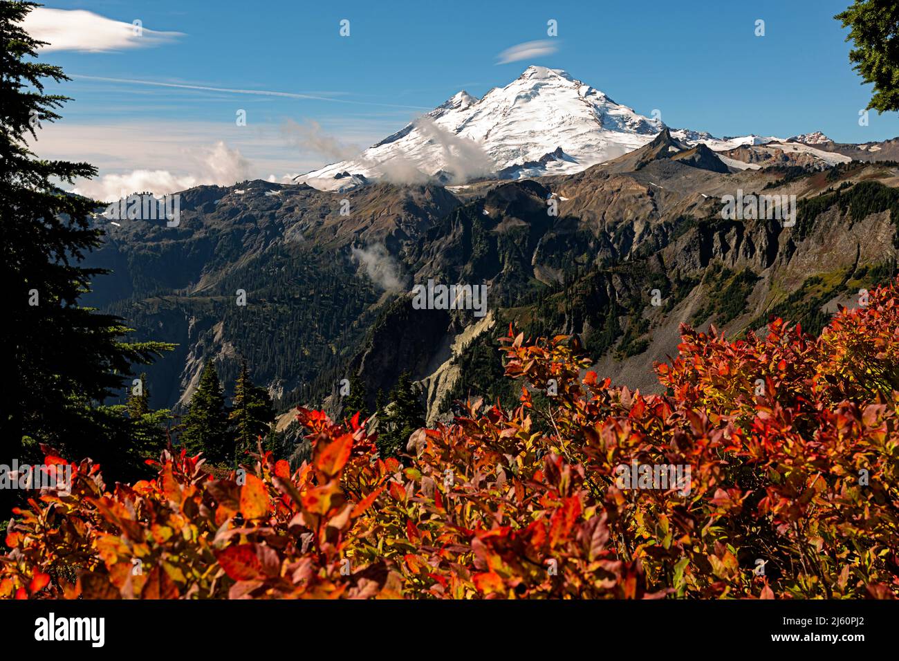Huckleberry hill hi-res stock photography and images - Alamy
