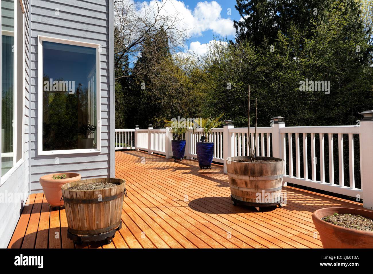 Home outdoor cedar wood backyard deck just freshly stained during early ...