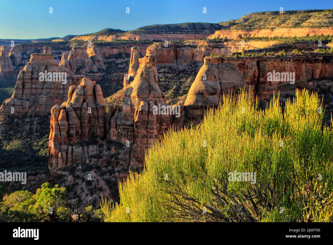 Grand View overlook in Colorado National Monument, Grand Junction, USA ...