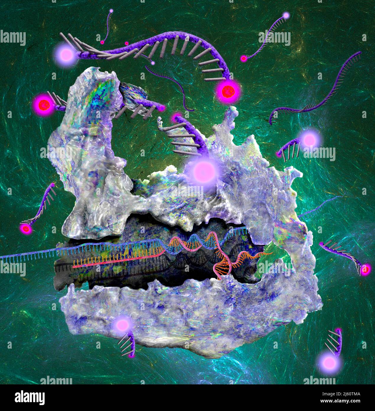 CRISPR Cas13 protein, illustration Stock Photo - Alamy