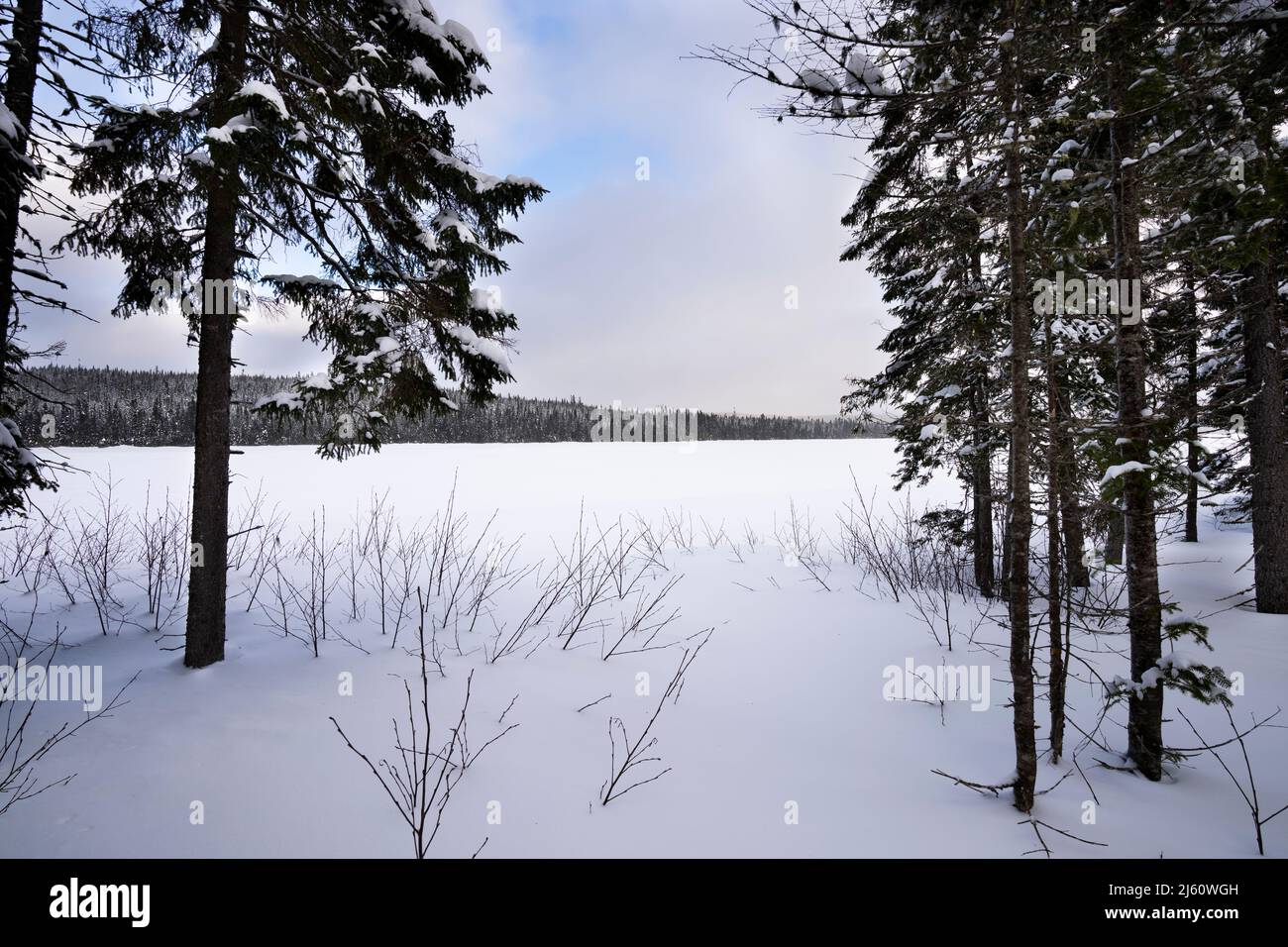 Lakeview lakeview lakeview lakeview scenery hi-res stock photography ...