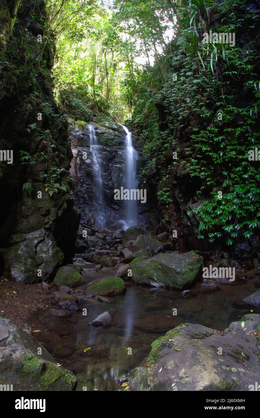 Box log falls hi-res stock photography and images - Alamy