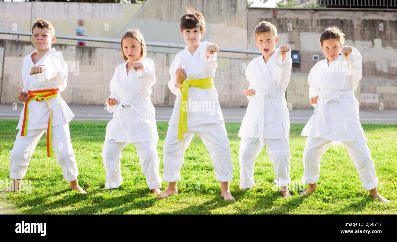 Tween girls and boys exercising taekwondo techniques on green lawn ...