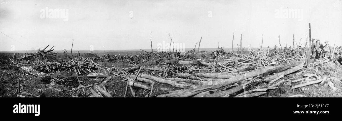 Road in middle trees Black and White Stock Photos & Images - Alamy