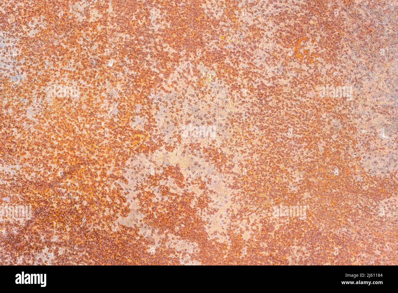 Panoramic grunge rusty metal texture, rust and oxidation metal background. Old metal iron panel ...