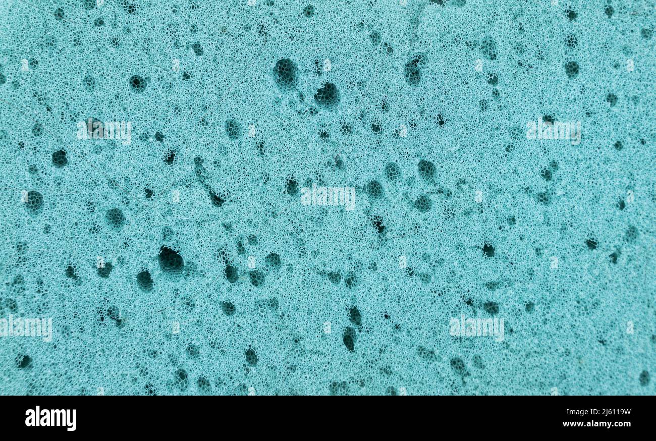 Green sponge detailed texture, sponge texture background. High quality ...