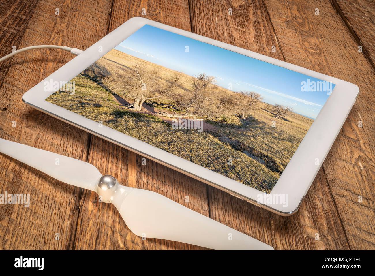 trees along a stream in Colorado prairie in early spring, reviewing an ...