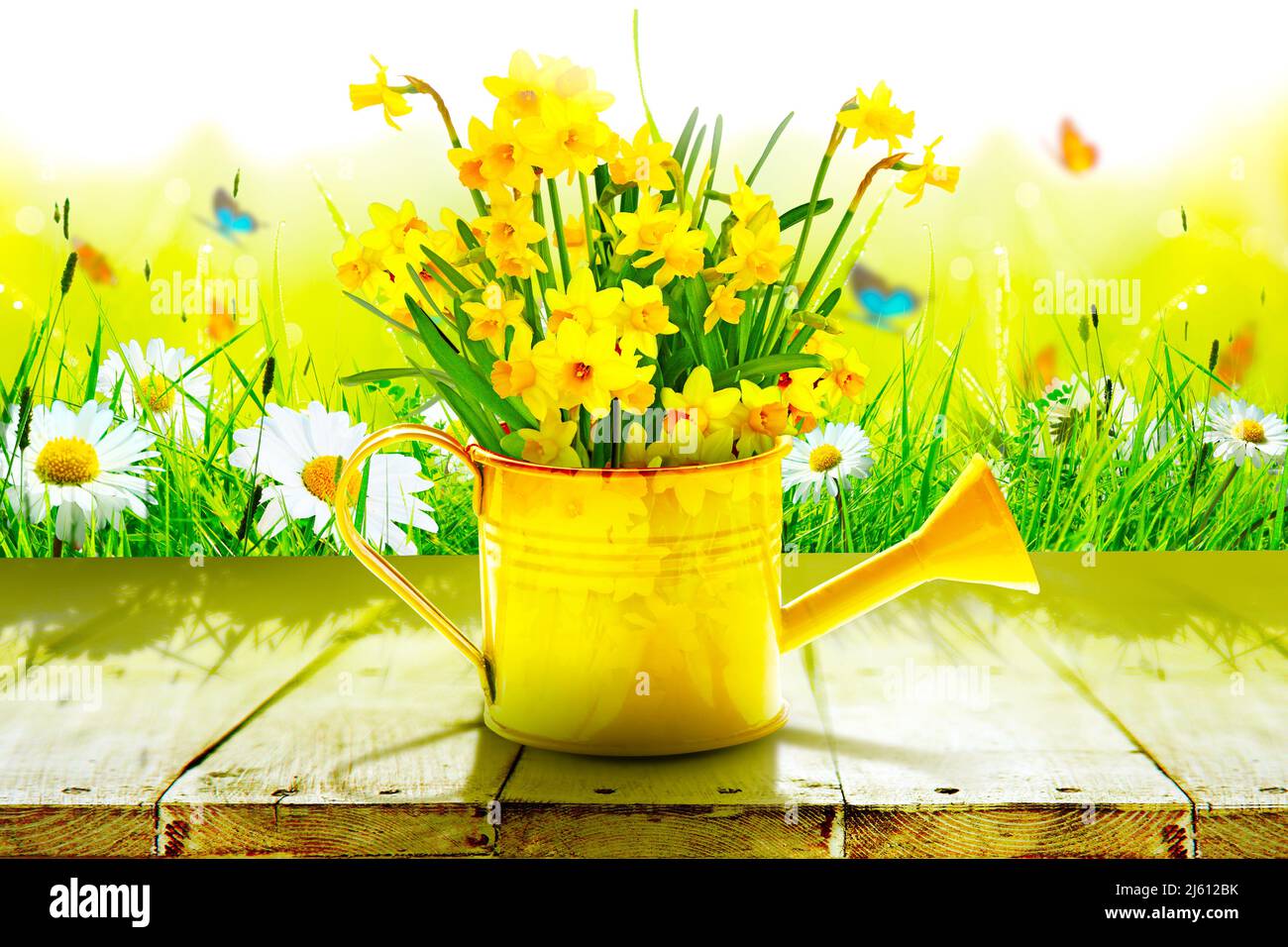Spring flowers in watering can. Gardening tools and equipment Stock ...