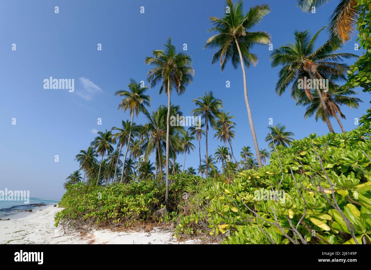 Bangaram island, Lakshadweep, India. Natural beauty of the island with ...