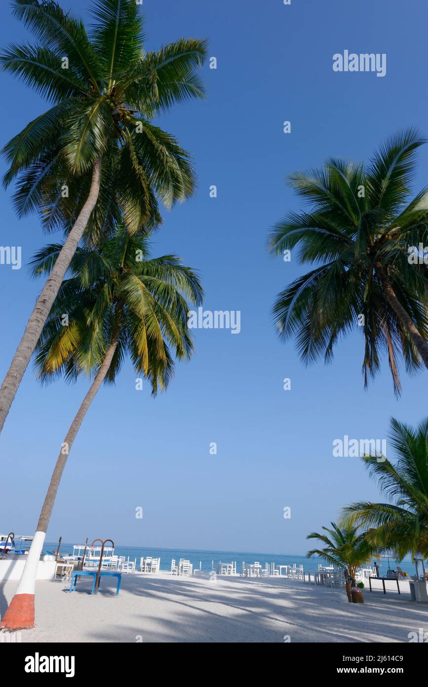 Bangaram island, Lakshadweep, India. Natural beauty of the island with ...