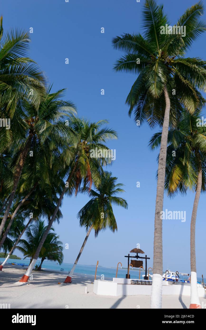 Bangaram island, Lakshadweep, India. Natural beauty of the island with ...