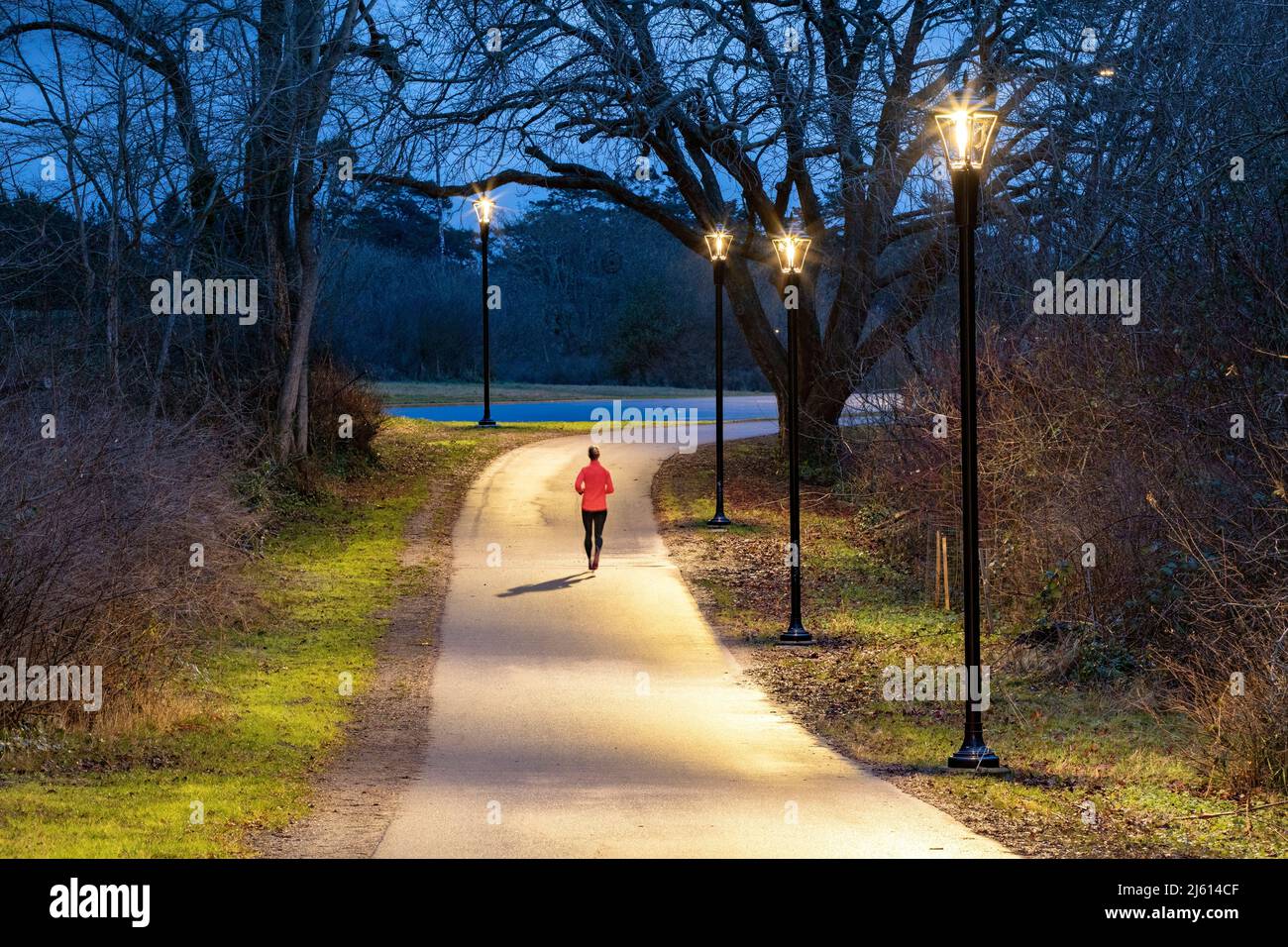 Dallas road runner hi-res stock photography and images - Alamy