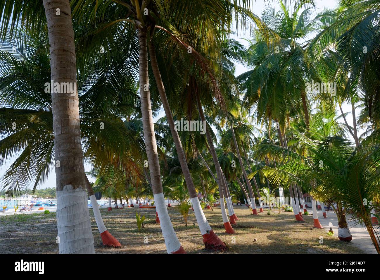 Bangaram island, Lakshadweep, India. Natural beauty of the island with ...